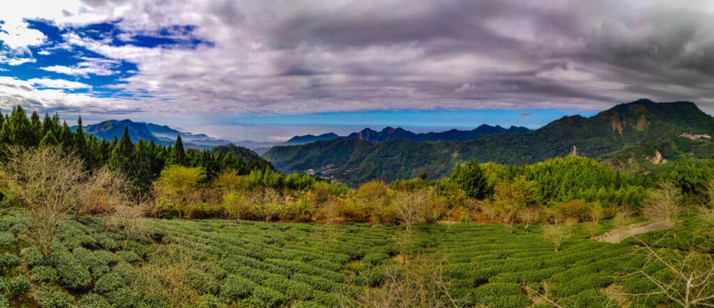 Avoid tourists with these hidden Taiwan tea trails - Discoveny