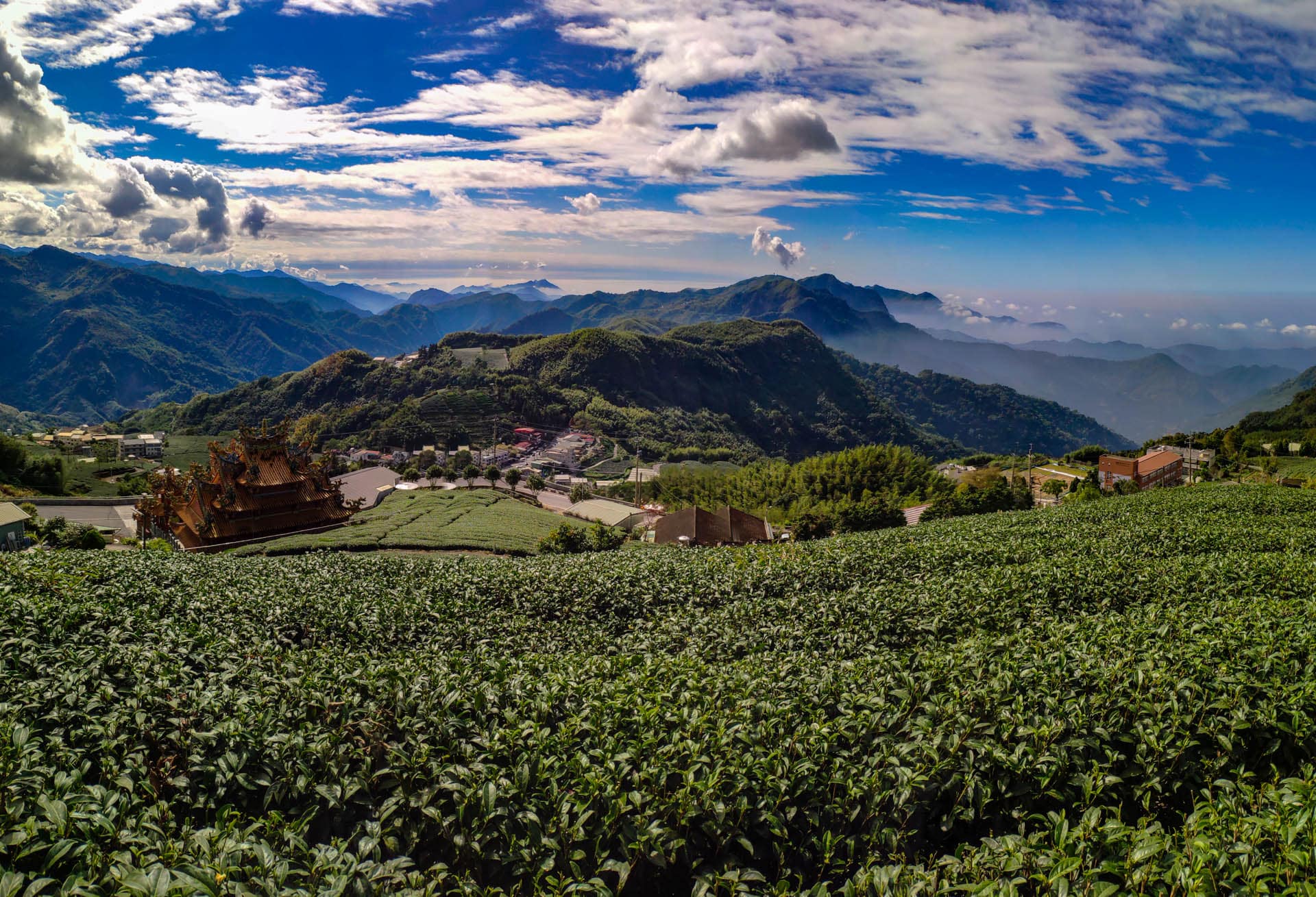 Avoid tourists with these hidden Taiwan tea trails - Discoveny