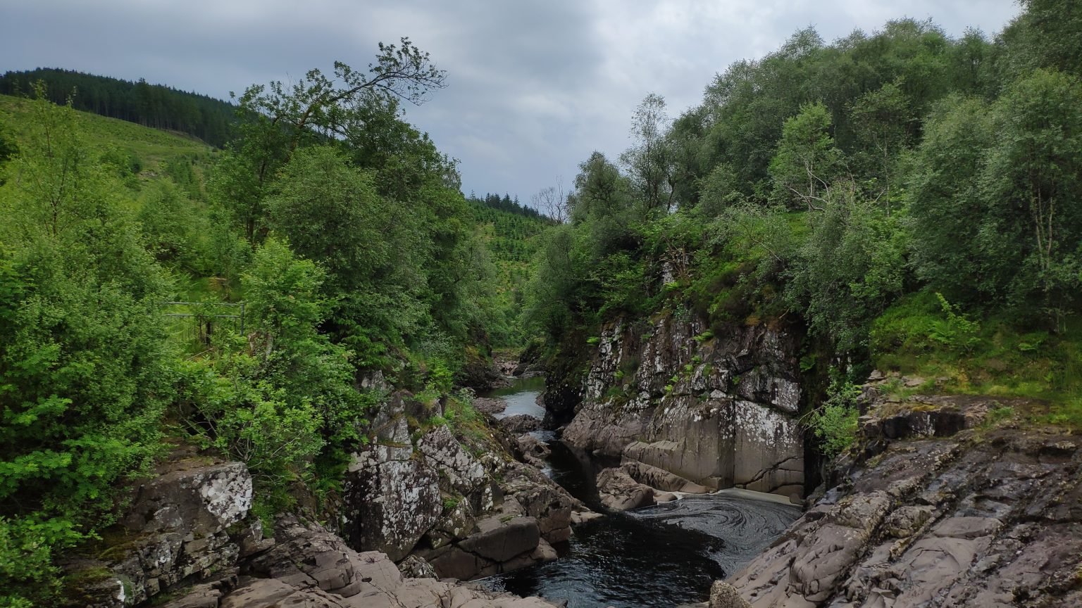 How to Avoid Midges in Scotland: Top Tips & Best Repellents - Discoveny