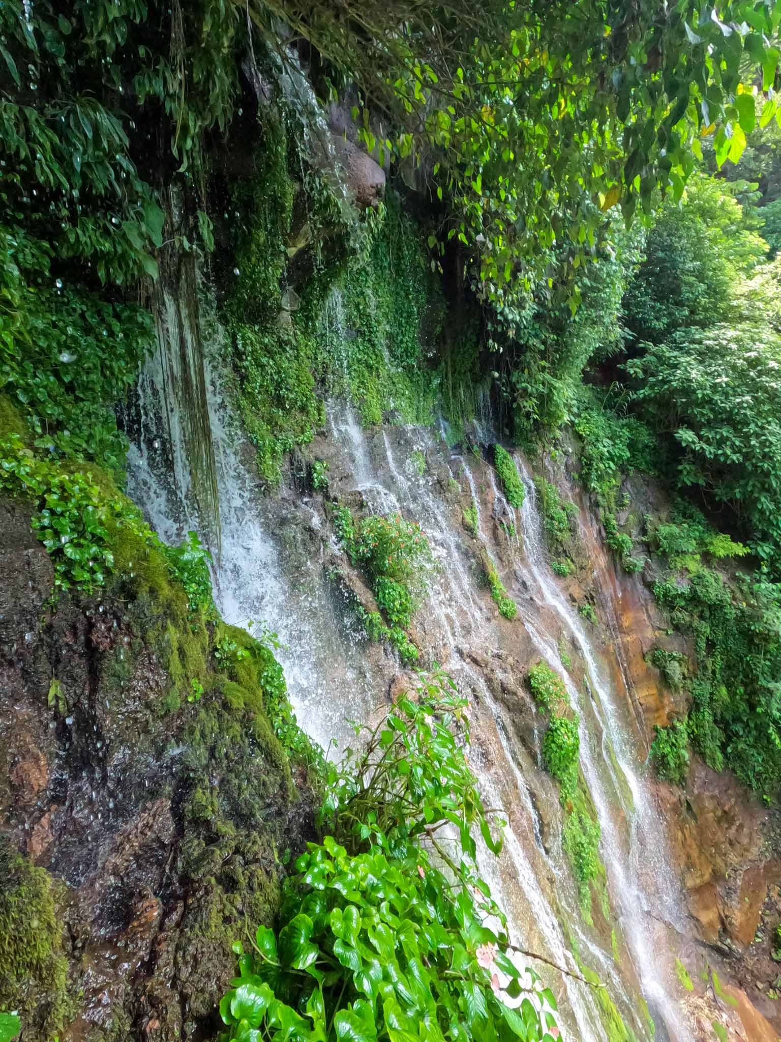 The ULTIMATE guide to the Seven Waterfalls Hike El Salvador [2024 ...
