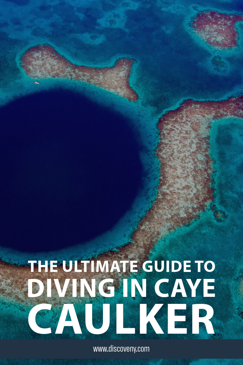 The Ultimate Guide to Diving in Caye Caulker, Belize [2024] - Discoveny