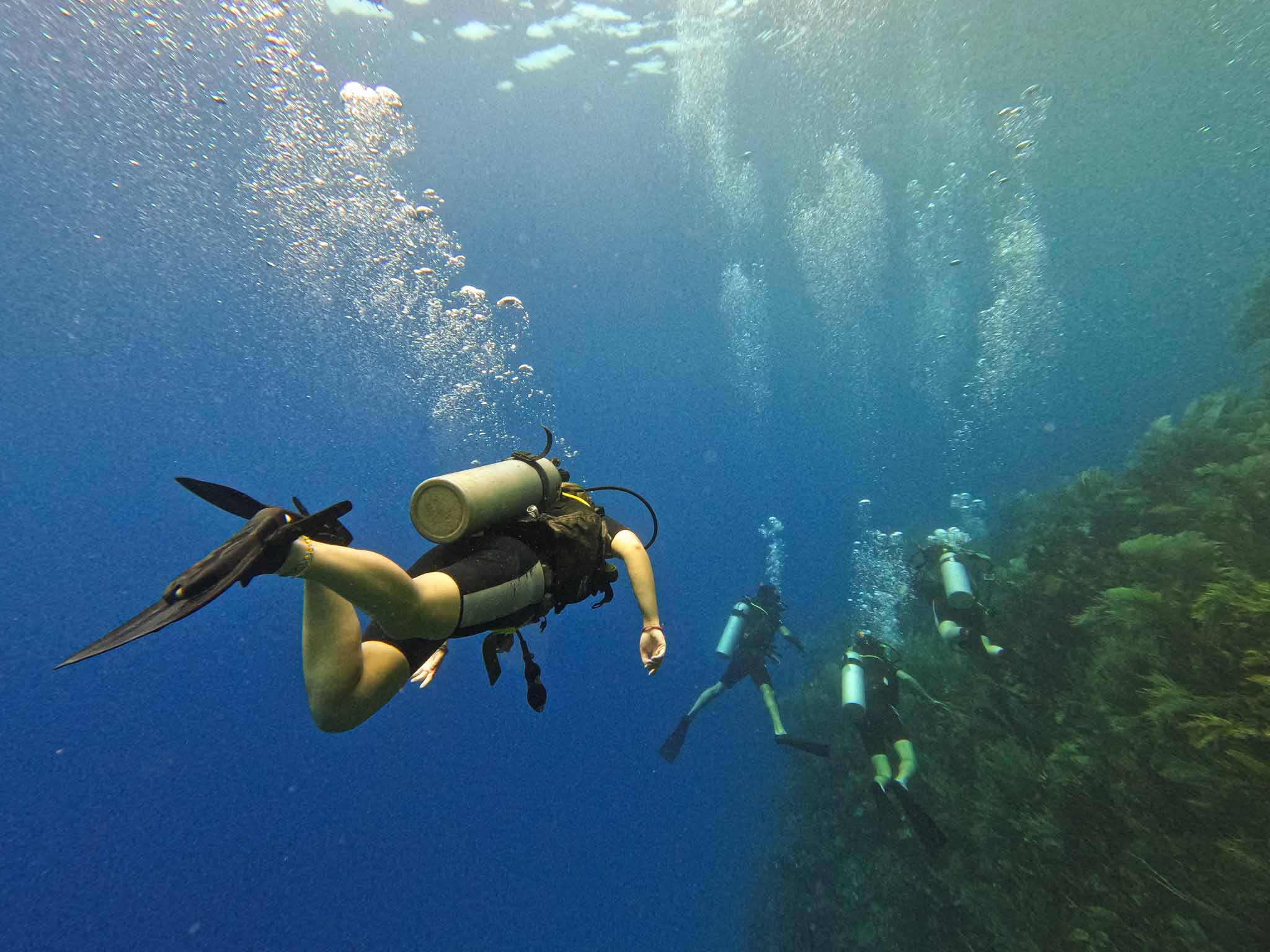 Getting your SCUBA diving Open Water Certification on a budget: the ...