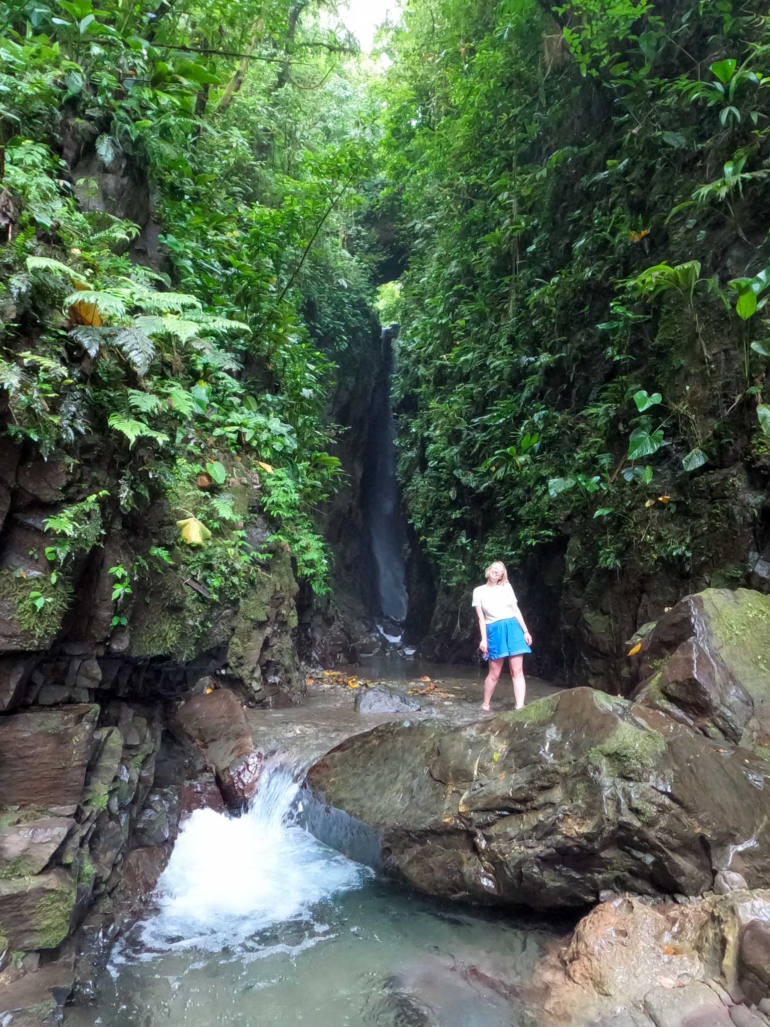 Your guide to the Celestine Waterfall Hike, Chiquiri, Panama - Discoveny