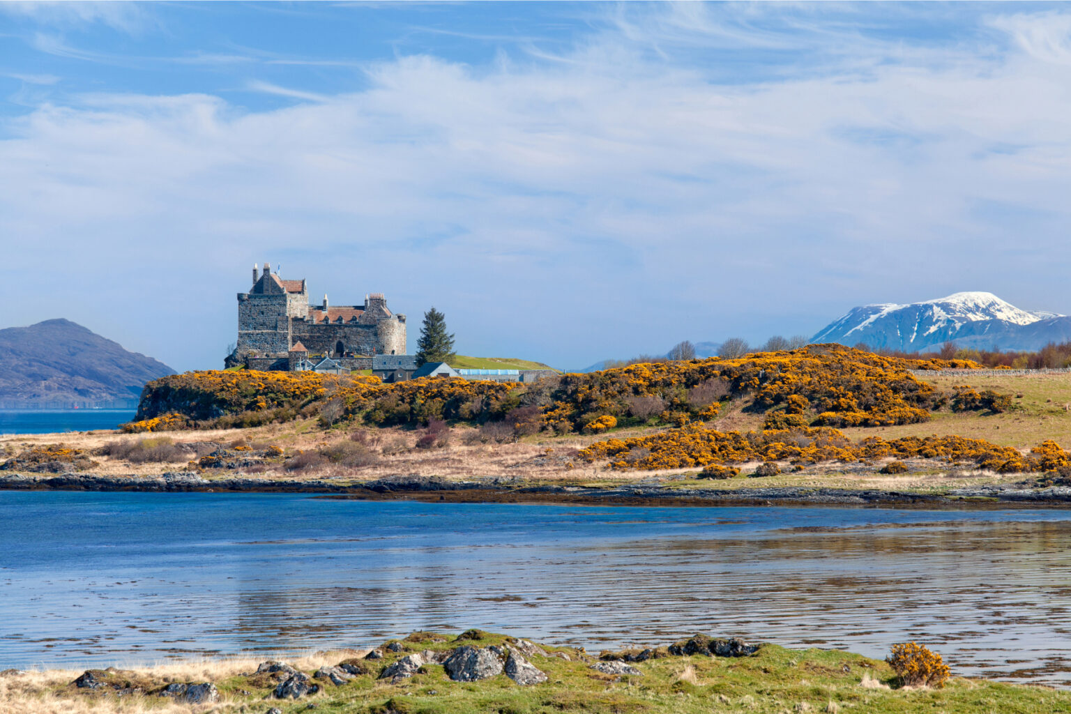 How to Avoid Midges in Scotland: Top Tips & Best Repellents - Discoveny